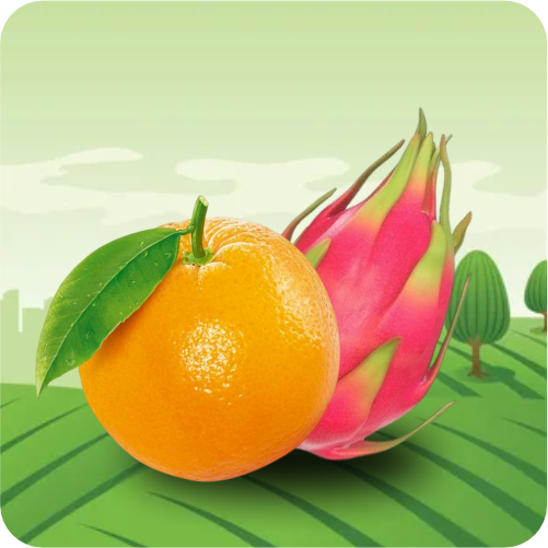 Website - Fruits And Vegetables