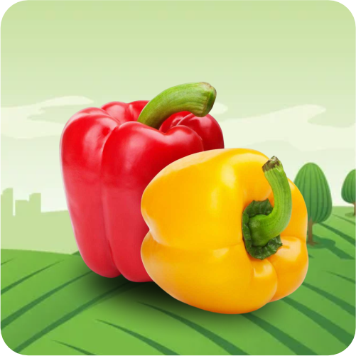 Website - Fruits And Vegetables
